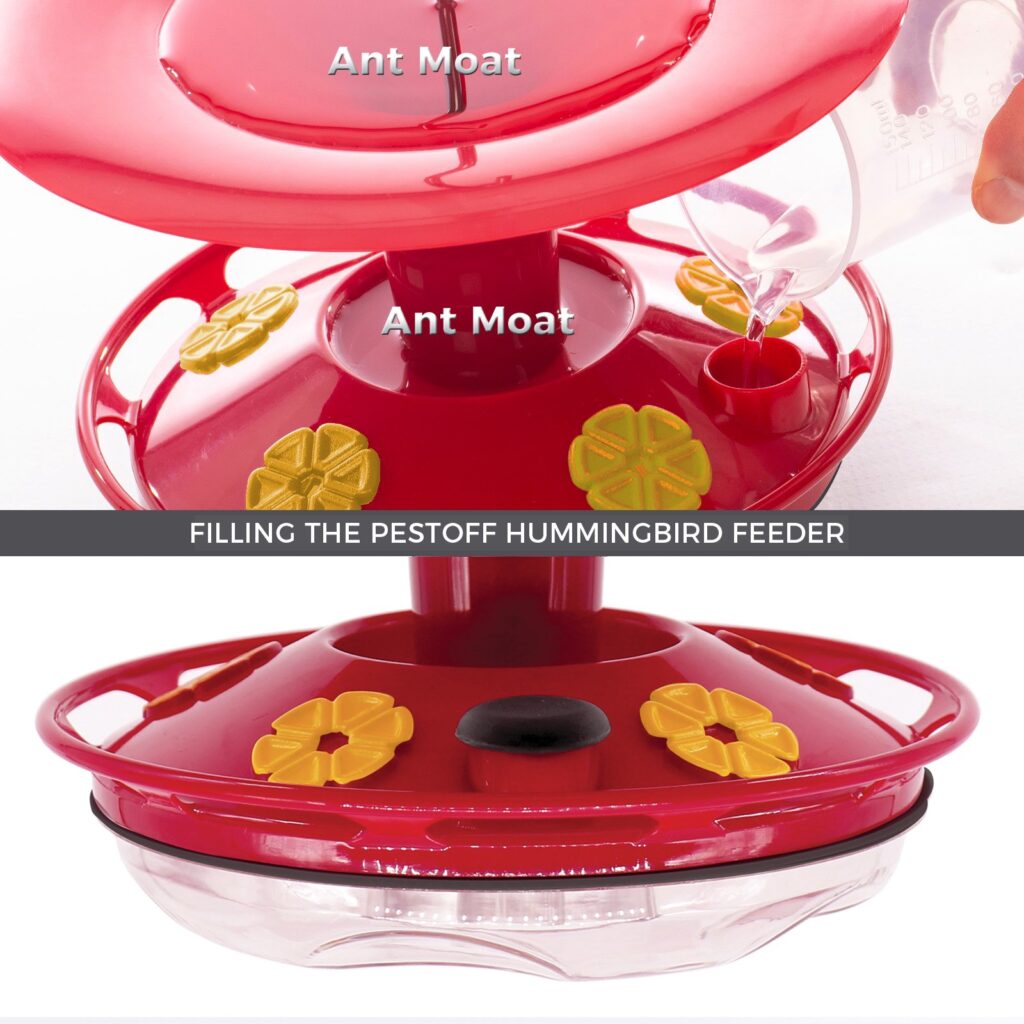 Hanging Bee Proof Hummingbird Feeder – xfixing.com